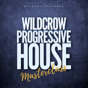 Ultimate Guide to Progressive House Track Structure and Flow - Myloops